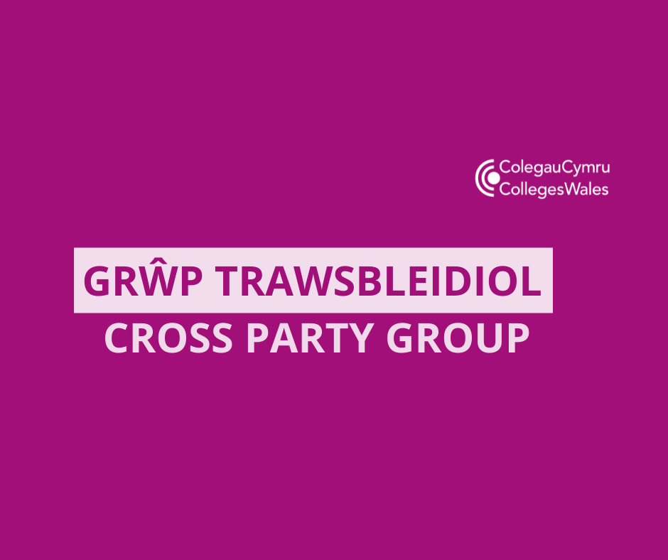 Cross Party Group for FE and Future Skills: Race Equality and Further ...